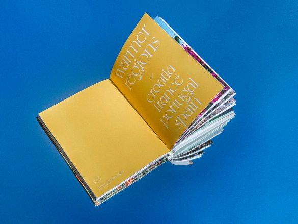 POP Member Showcase: 9 Graphic Designers | People of Print